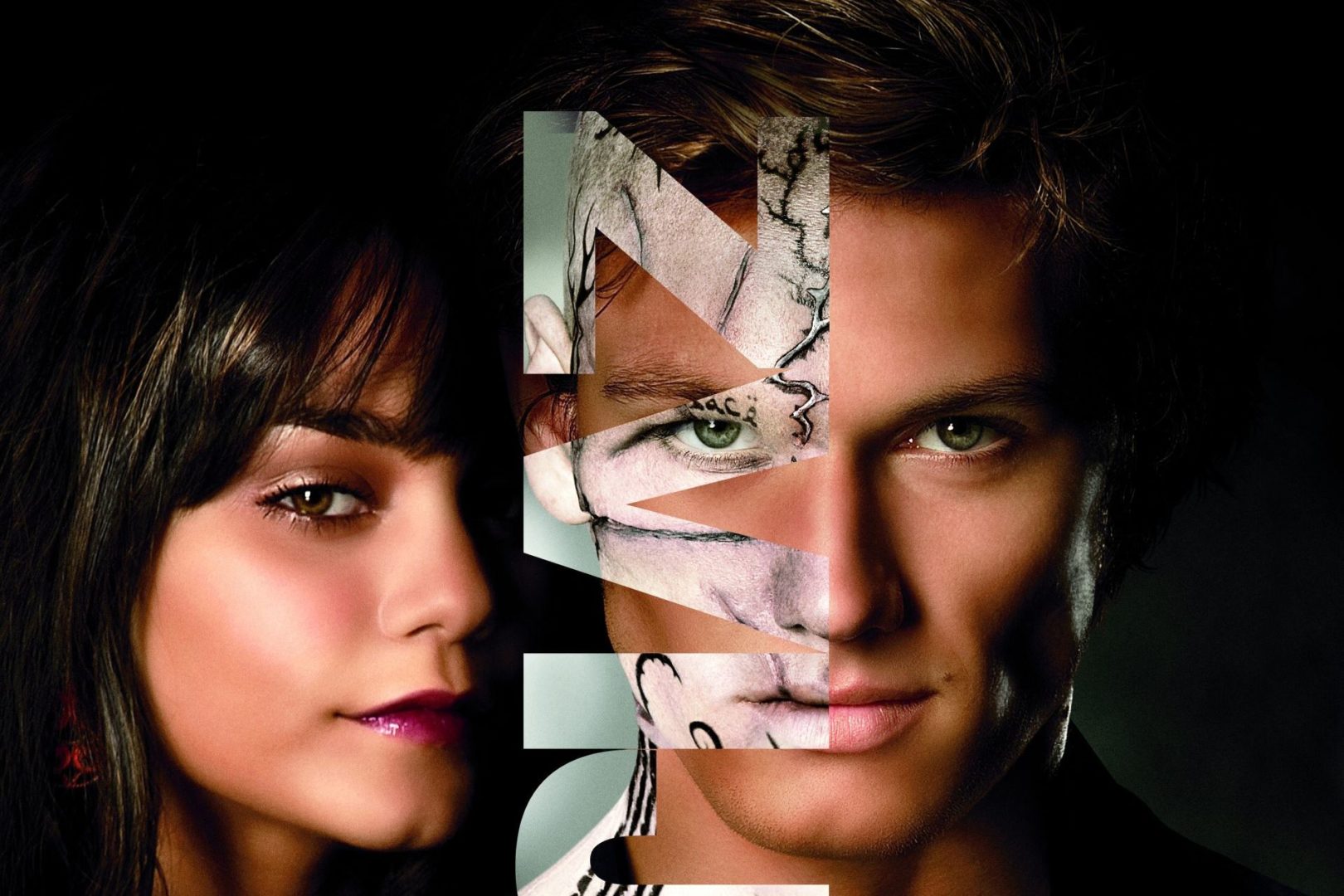 Zvijer - CineStar TV Channels