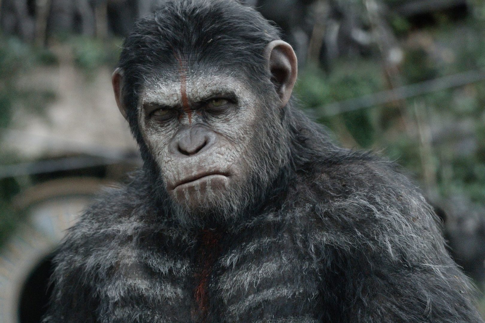 PREDSTAVLJAMO PRVI TRAILER - PLANET MAJMUNA: REVOLUCIJA - CineStar TV ...