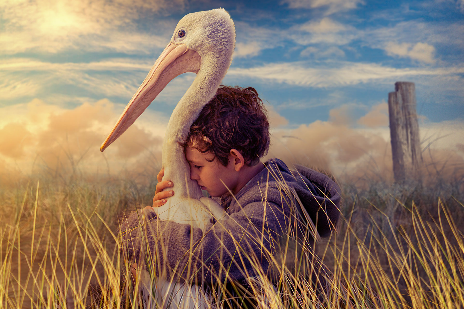 Dječak oluje - CineStar TV Channels